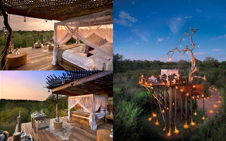More Treehouses -South Africa - South African Lodges