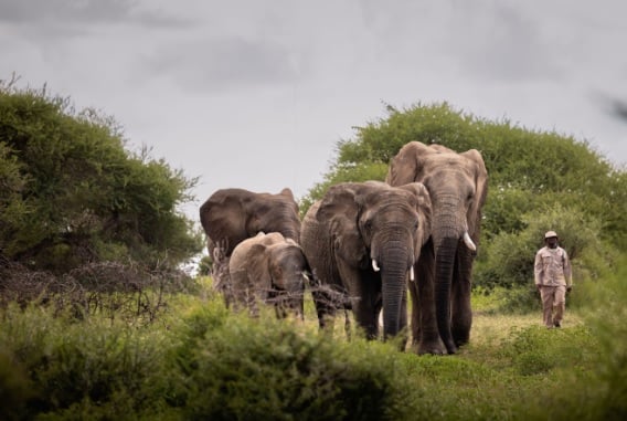 Two MICHELIN Keys for Jabulani Safari Lodge! - South African Lodges