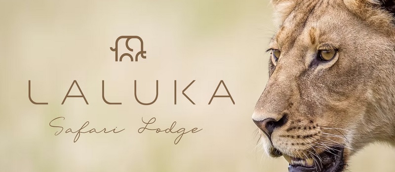 Laluka: Comfort & Wild - South African Lodges