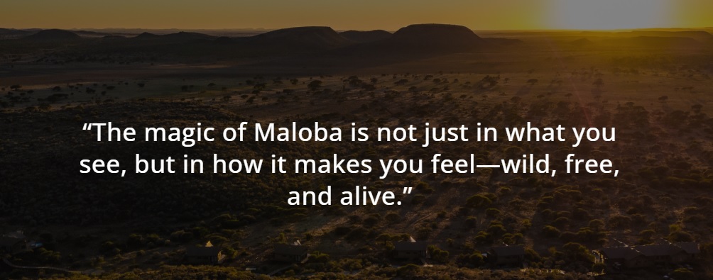 MALOBA: Luxury Safari Re imagined - South African Lodges