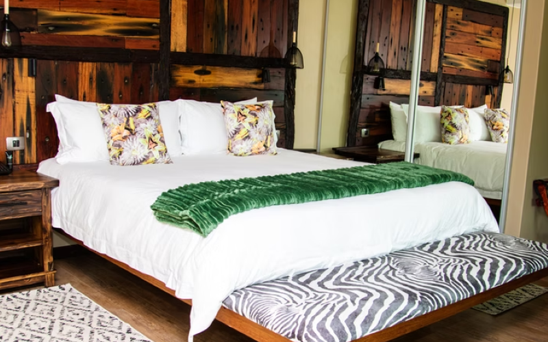 Shekinah Lion and Game Lodge
