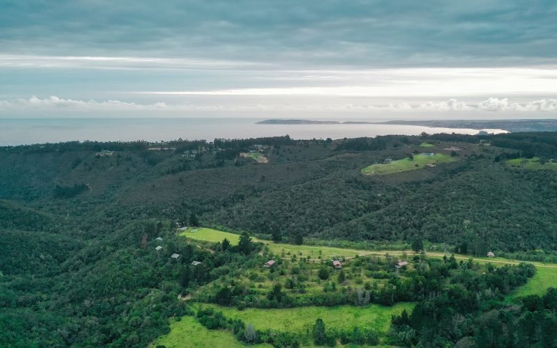 AfriCamps at Ingwe, Plettenberg Bay