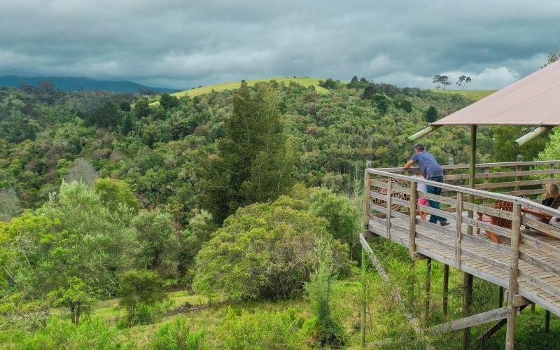 AfriCamps at Ingwe, Plettenberg Bay