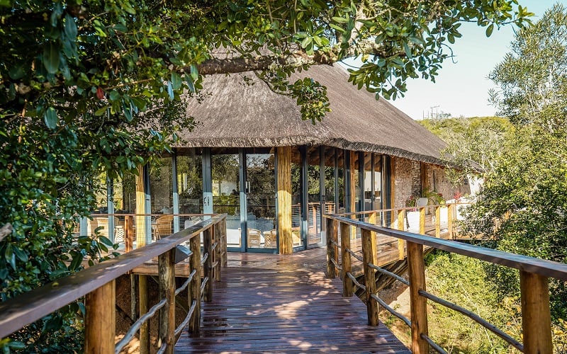 Barefoot Addo Elephant Lodge