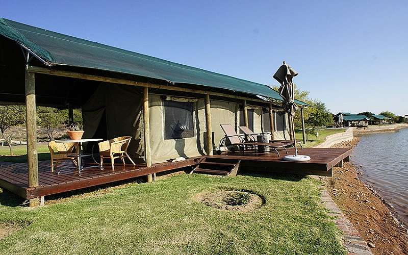 Buffelsdrift Game Lodge, Oudtshoorn, South Africa