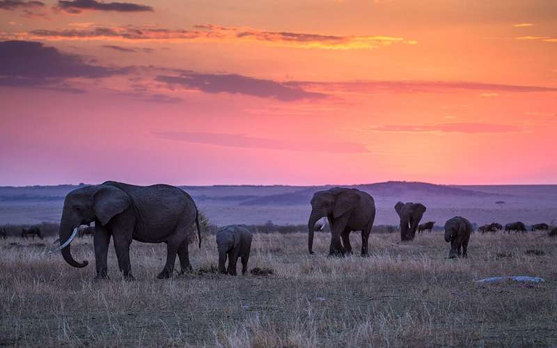 Great Plains Conservation Mara Expedition Camp, Masai Mara, Kenya