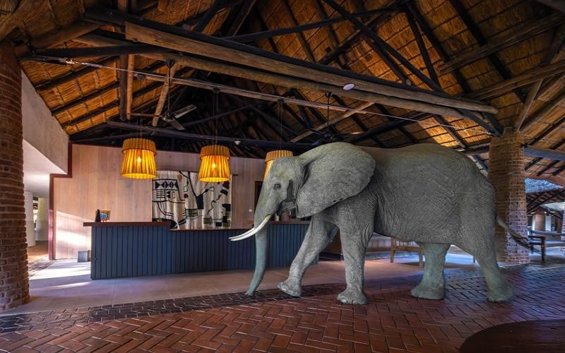 Mfuwe Lodge