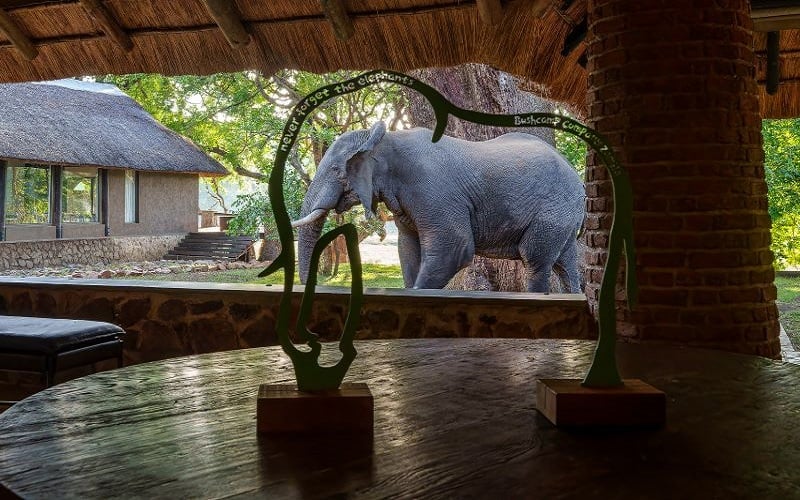 Mfuwe Lodge