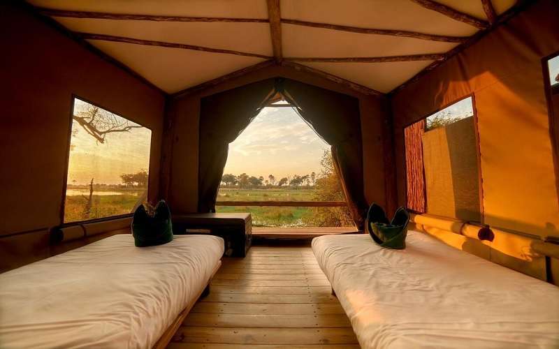 Oddballs Camp, Okavango Delta in Botswana