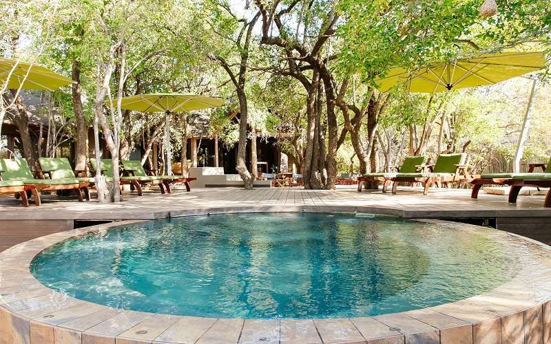 The top 15 Pilanesberg National Park Safari Lodges, South Africa