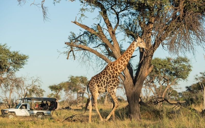 Mogogelo Camp