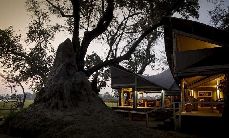 Wilderness Safaris Abu Camp, Okavango Delta, Botswana