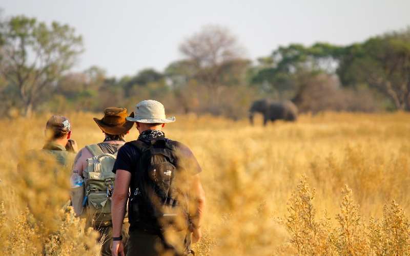 Best of Botswana Safari Tour, Africa