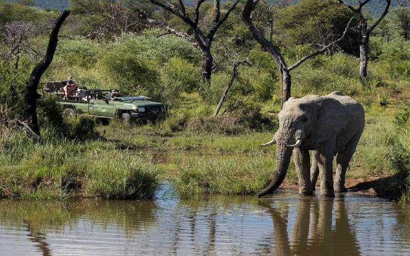 Ditholo Game Lodge, Bela Bela, South Africa