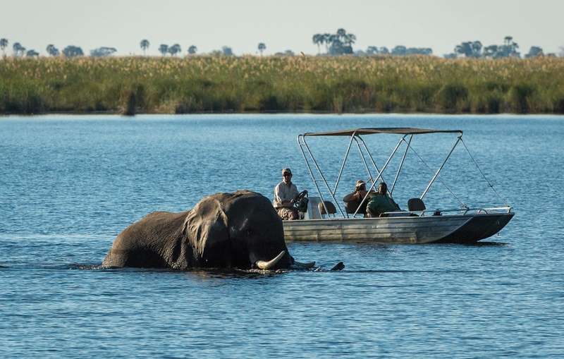 Duma Tau Camp, Linyanti Wildlife Reserve, Chobe National Park, Botswana