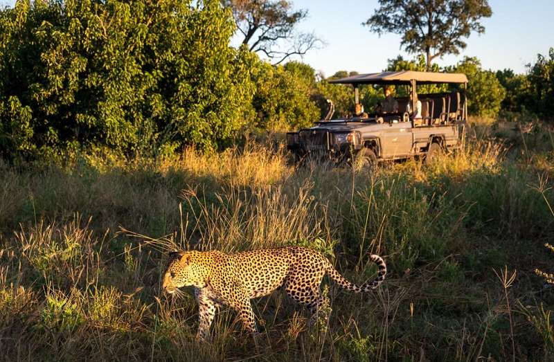 Duma Tau Camp, Linyanti Wildlife Reserve, Chobe National Park, Botswana