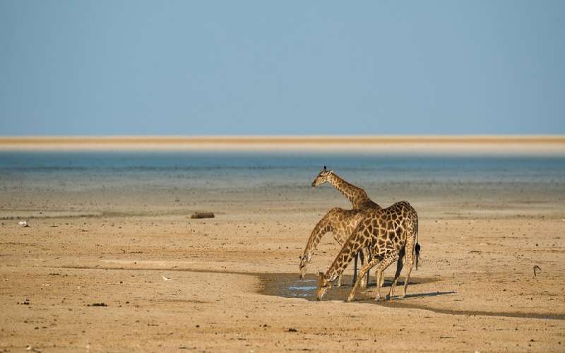 Greenfire Desert Lodge, Namibrand Nature Reserve, Namibia