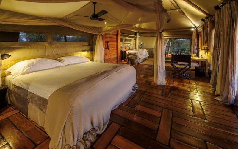 Little Mombo Camp, Wilderness Safaris, Moremi Game Reserve, Botswana