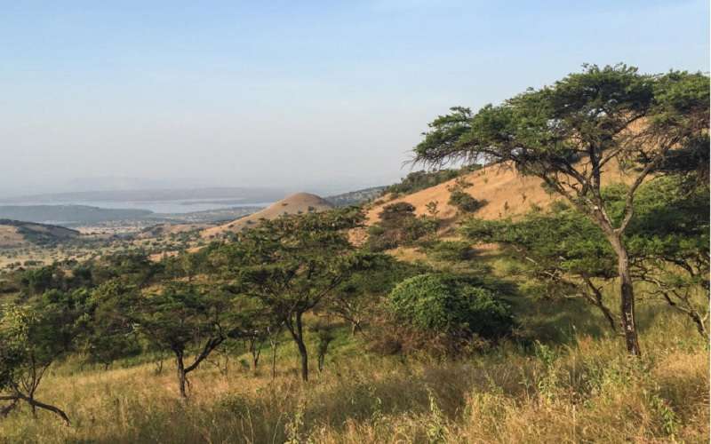 Wilderness Safaris Magashi Lodge, Akagera National Park in Rwanda