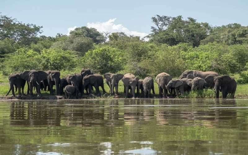 Wilderness Safaris Magashi Lodge, Akagera National Park in Rwanda