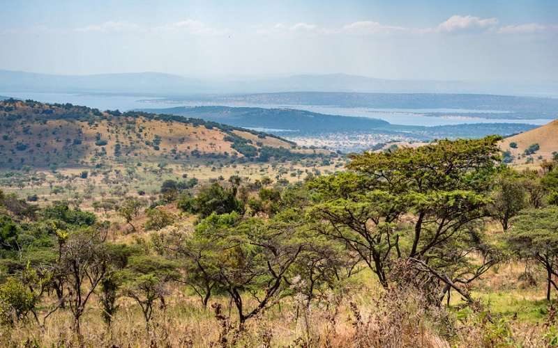 Wilderness Safaris Magashi Lodge, Akagera National Park in Rwanda