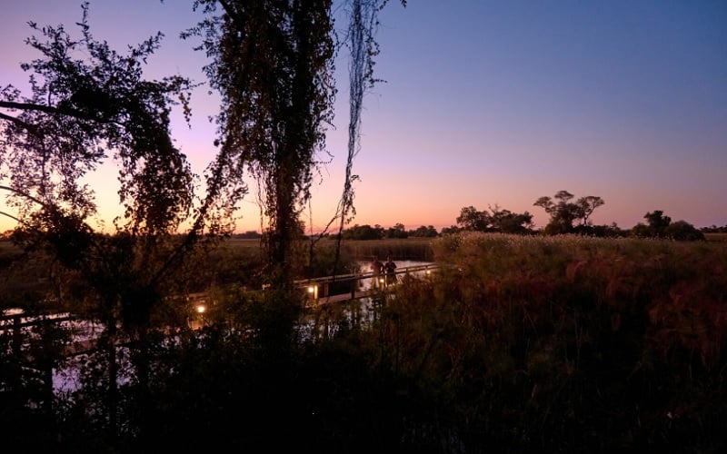 5 Day Okavango Delta Tiger Fishing Nxamaseri Island Lodge