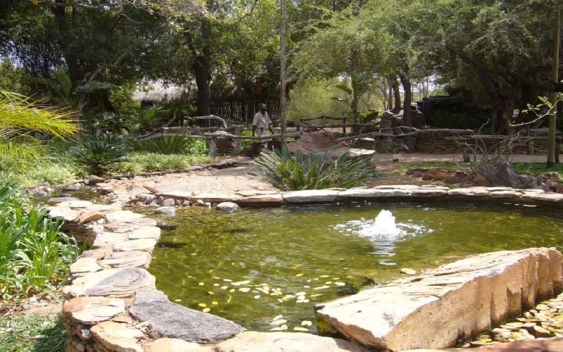 Popallin Safari Ranch, Tshitise, South Africa