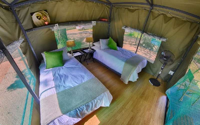 Pretoriuskop Restcamp, Kruger National Park, South Africa