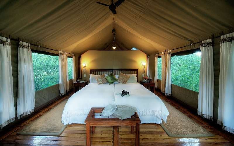 Royal Tree Lodge, Maun, Botswana