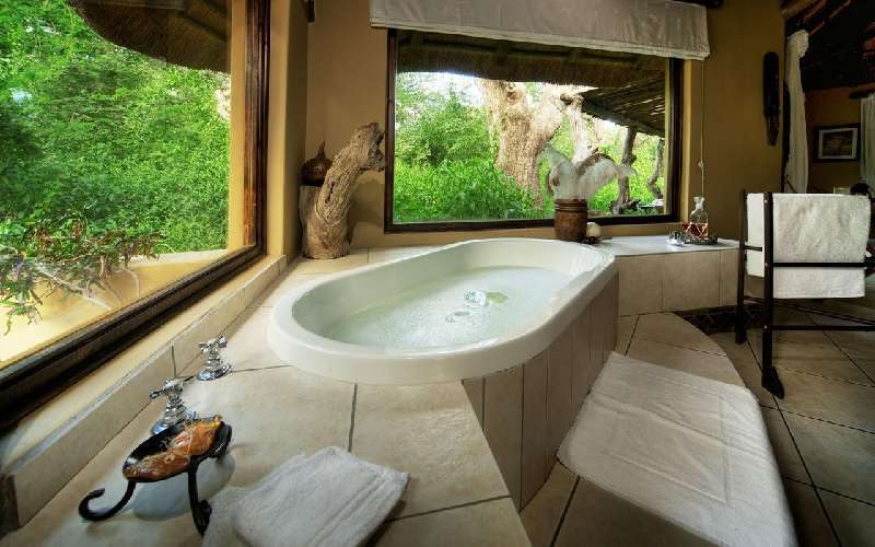 Royal Tree Lodge, Maun, Botswana