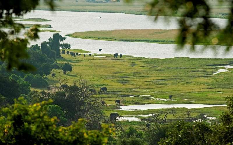 Safari Tour of Botswana & Zambia