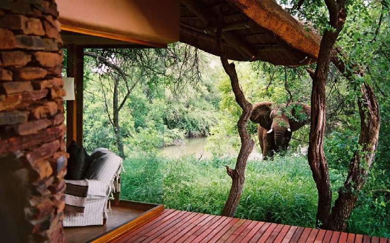 Sanctuary Makanyane Luxury Safari Lodge, Madikwe, South Africa