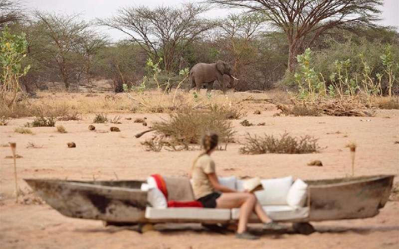 Saruni Rhino Lodge, Sera Conservancy, Kenya