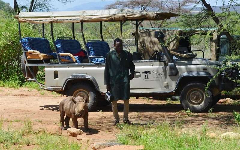 Saruni Rhino Lodge, Sera Conservancy, Kenya
