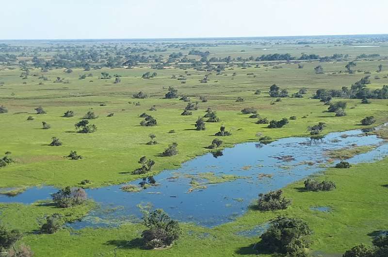 Setari Camp, Okavango Delta in Botswana