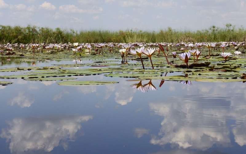 Setari Camp, Okavango Delta in Botswana