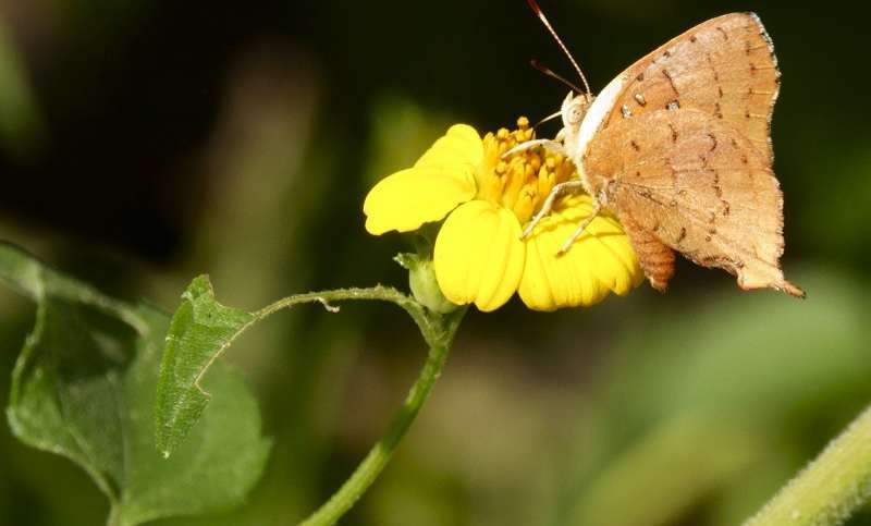 Setari Camp, Okavango Delta in Botswana