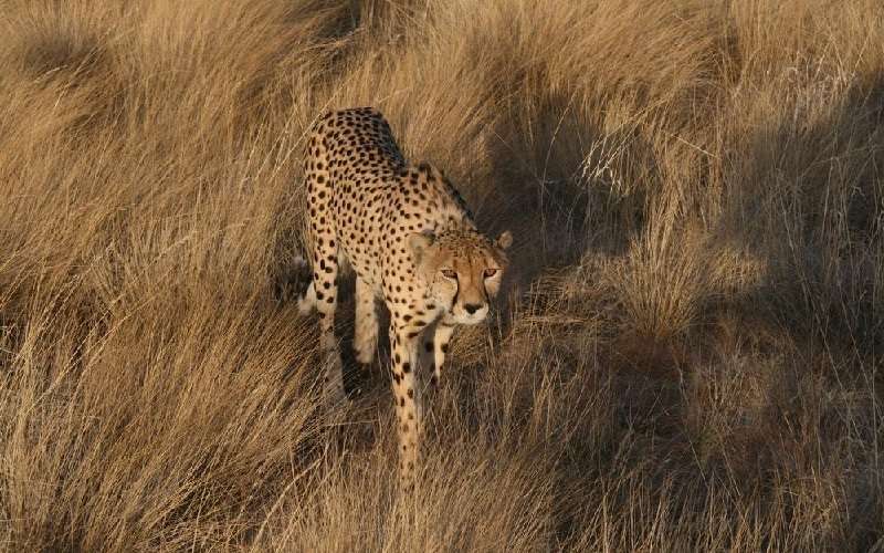 Solitaire Lodge, Solitaire, Namibia