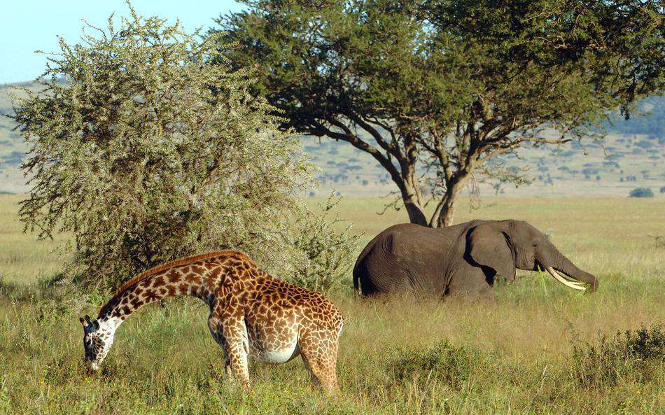 Orpen Rest Camp, Kruger National Park, South Africa