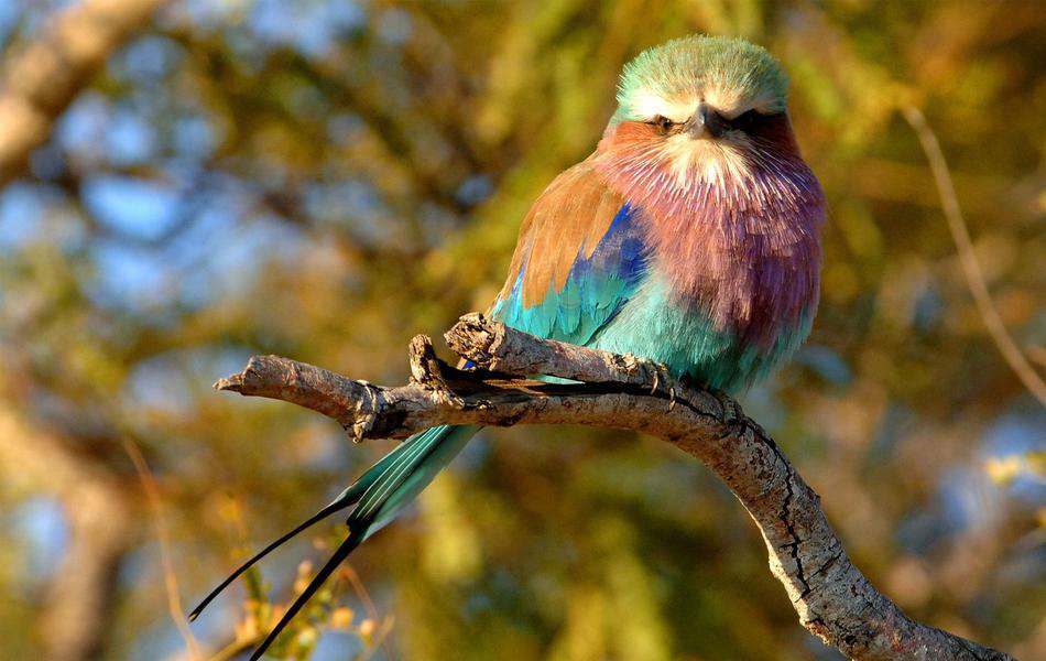 Pafuri Border Rest Camp, Kruger National Park, South Africa