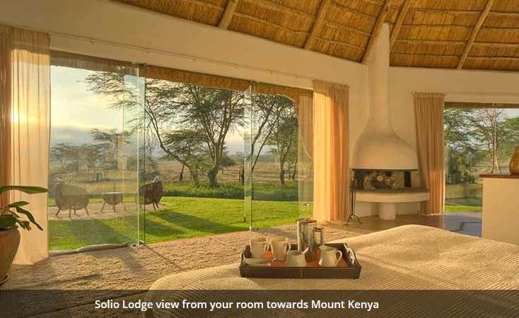 Safari Collection Kenya Fossil Hunting