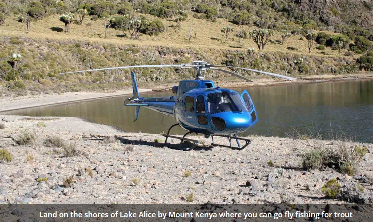 Safari Collection Kenya Helicopter Safari