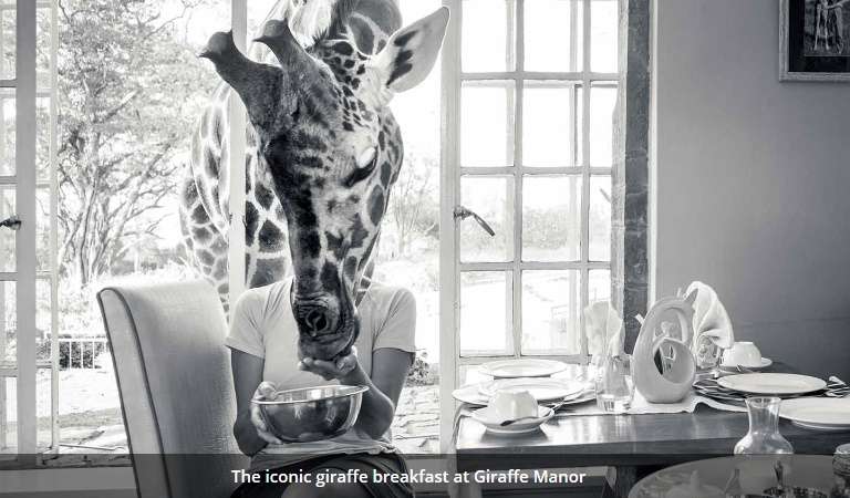 Safari Collection Kenya Photographic Journey