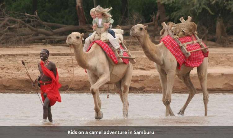 The Safari Collection Kenya Safari Teaser Journey