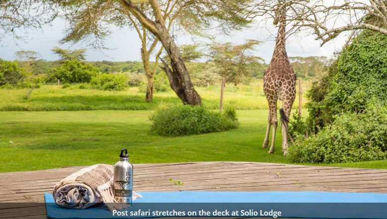 The Safari Collection Kenya Safari Teaser Journey