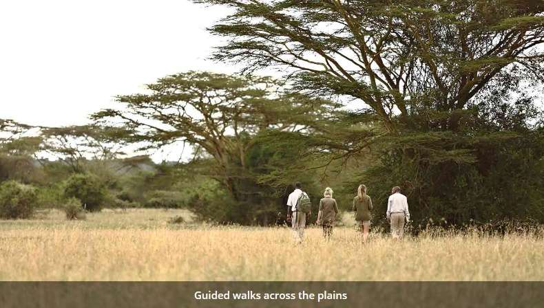 The Safari Collection Kenya Safari Teaser Journey