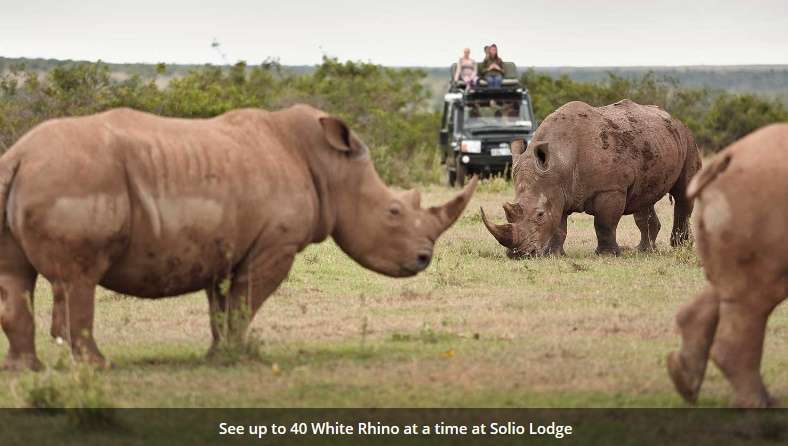 The Safari Collection Kenya Safari Teaser Journey